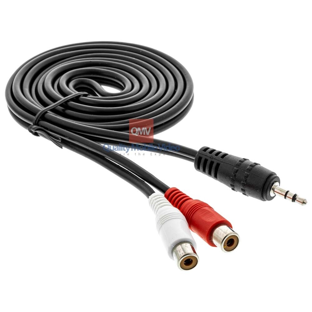 Accelevision AUSB-BMW USB to RCA audio input controller